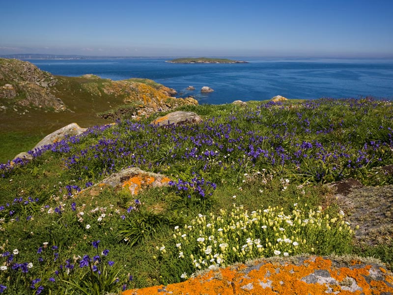 Top 15 Islands of Ireland & How to Visit - Wilderness Ireland