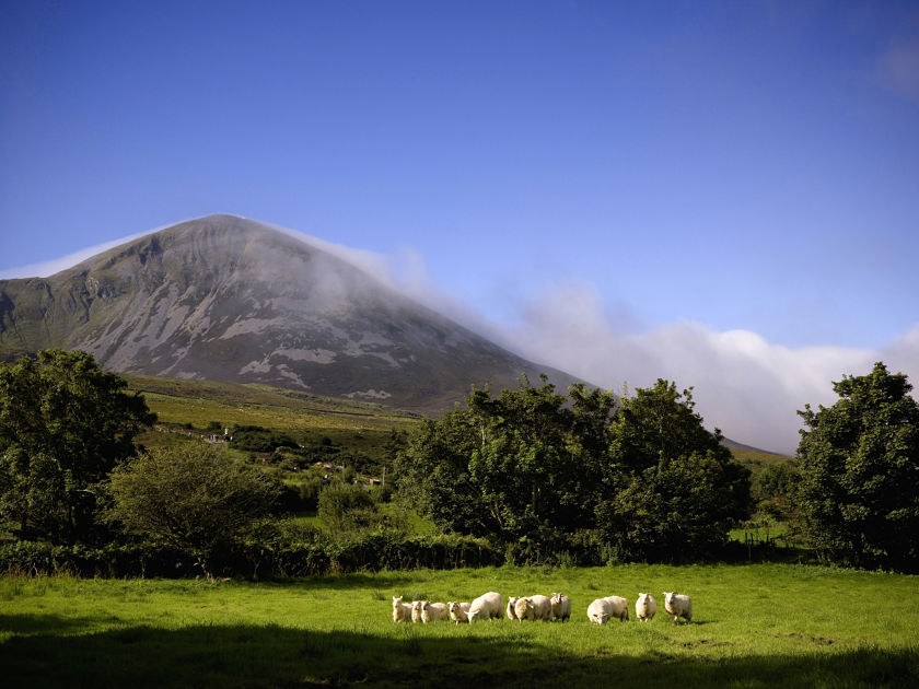 Follow in the Footsteps of St Patrick, Ireland's patron Saint ...