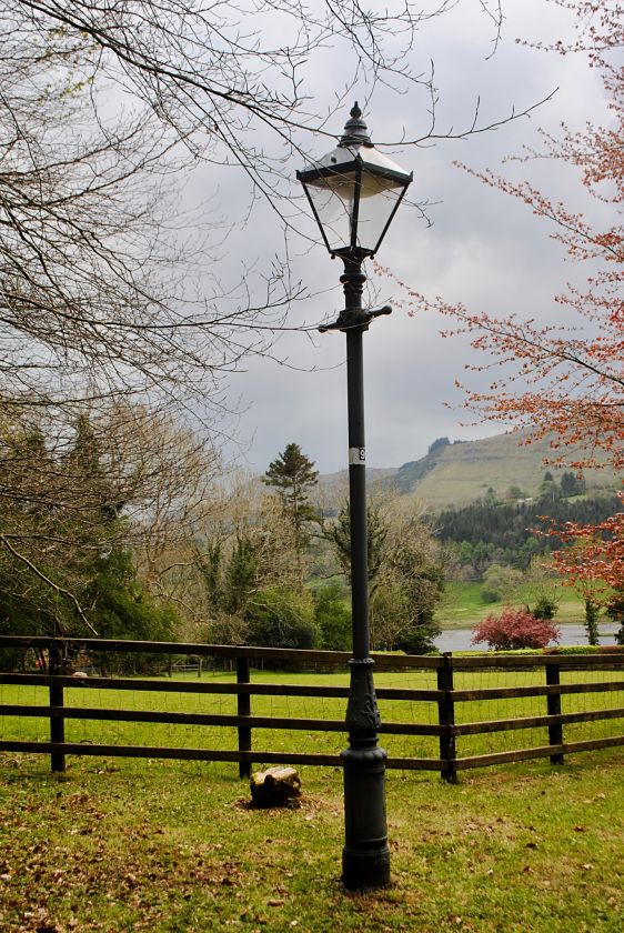 Visit Narnia in Northern Ireland by Hiking - Wilderness Ireland
