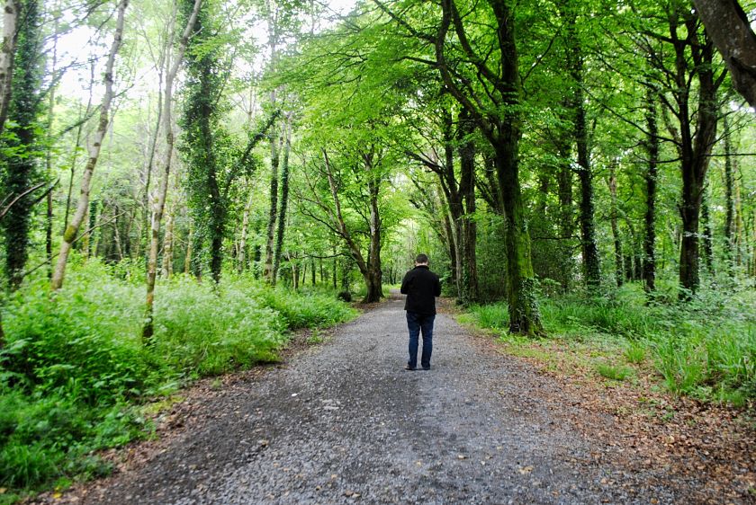World Environment Day: Reconnecting with Nature - Wilderness Ireland