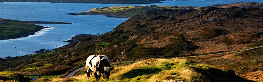 Why You Should You Hike in Ireland in September - Wilderness Ireland