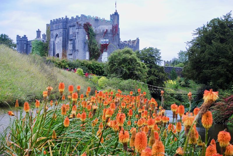 PHOTO BLOG: Amazing Castles of Ireland - Wilderness Ireland