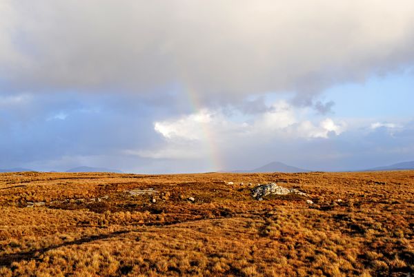 Why Should You Visit Ireland in Autumn? - Wilderness Ireland