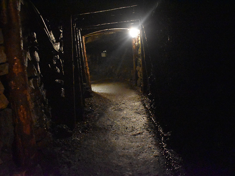 Dig Deep: Underground Ireland - Wilderness Ireland