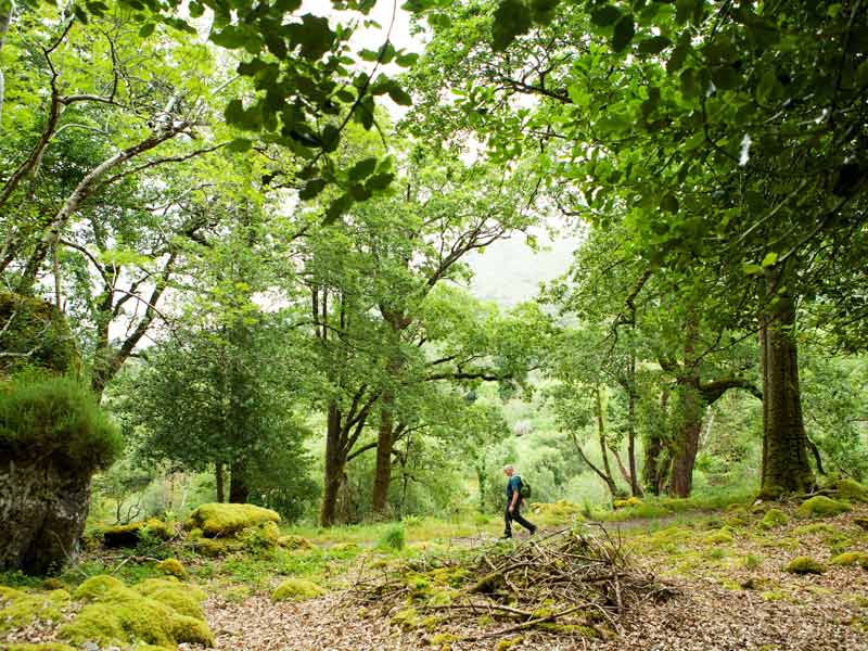 Hike Ireland's Long Distance Trails | Wilderness Ireland