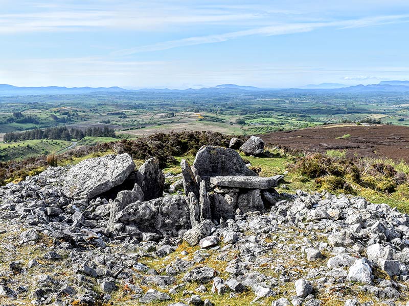 The Art of Hill Sheep Farming on Ireland’s West Coast - Wilderness Ireland