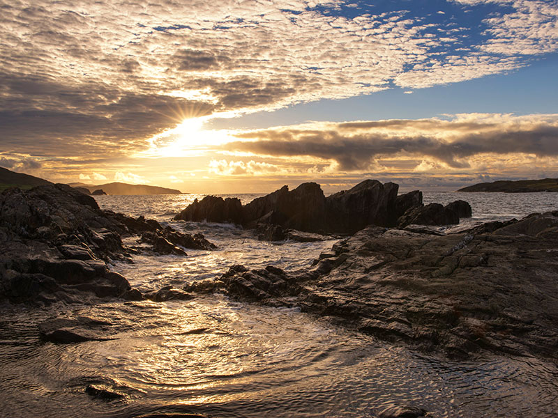 Why Visit Ireland in July? - Wilderness Ireland