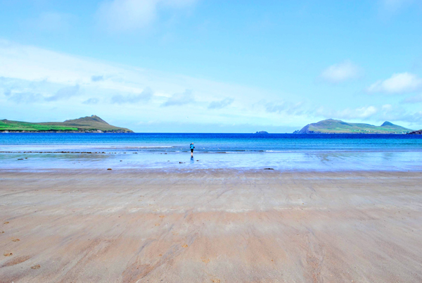 Summer in Ireland | All you need to know | Wilderness Ireland