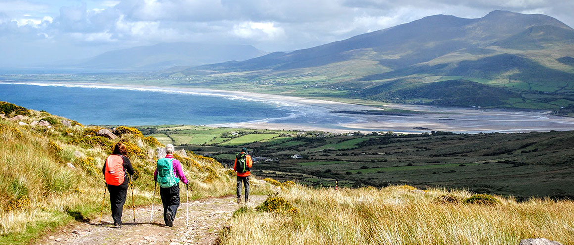 Hike Ireland Long Distance Trails: What to Expect | Wilderness Ireland
