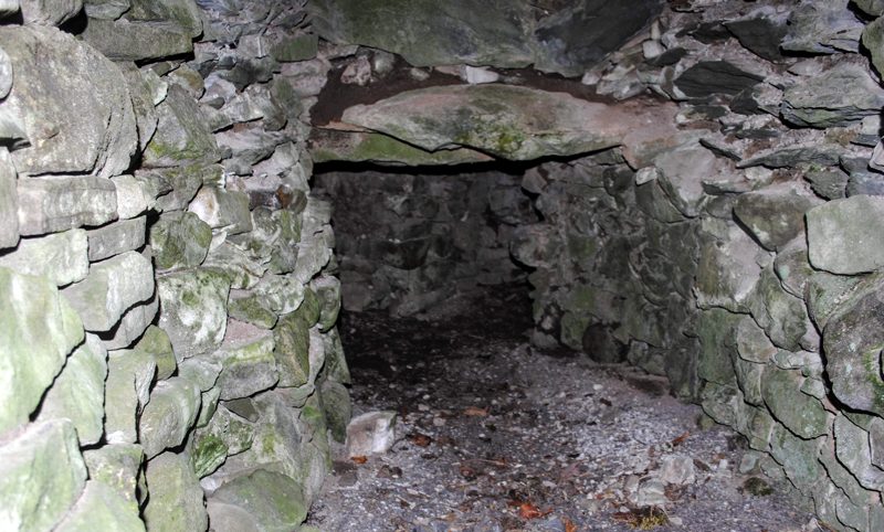 Neolithic Ireland: Newgrange, Knowth & Dowth - Wilderness Ireland