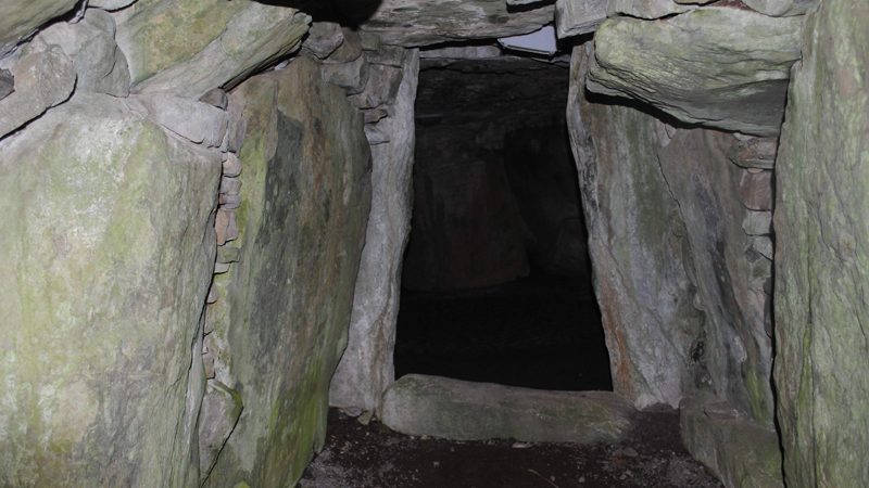 Neolithic Ireland: Newgrange, Knowth & Dowth - Wilderness Ireland