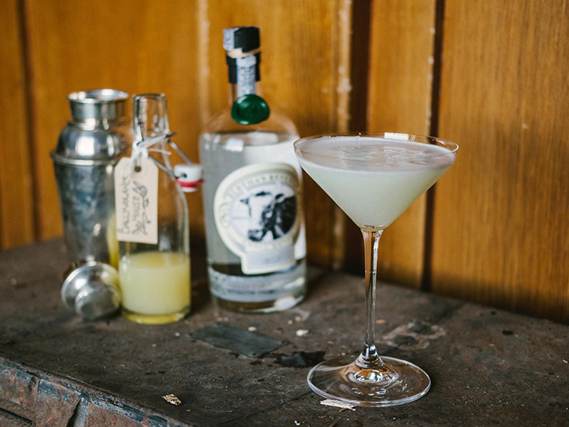 Guide to Irish Gins | Wilderness Ireland