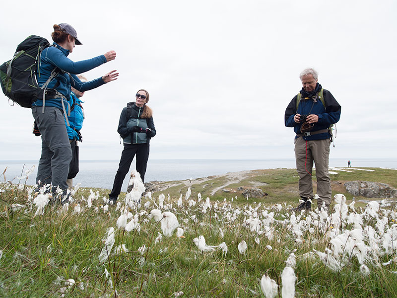 Careers: Wilderness Guides - Wilderness Ireland