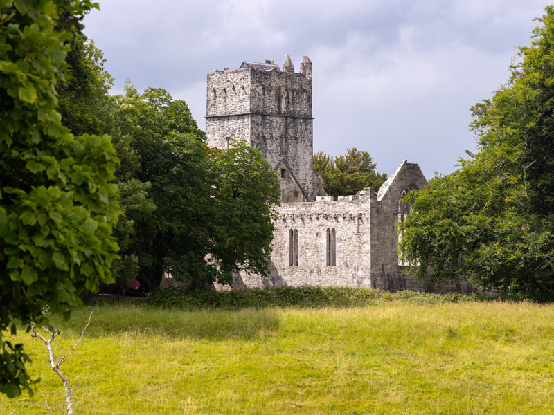 Irish Wildlife: Spotting Bats in Ireland