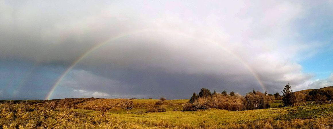 Why Visit Ireland in September? - Wilderness Ireland