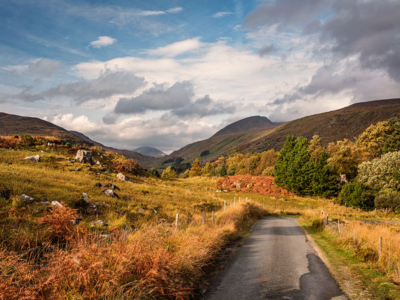 Where to Visit Ireland in Autumn | Wilderness Ireland