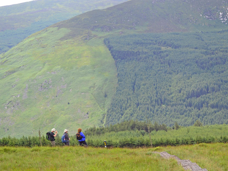 Hike Ireland's Long Distance Trails | Wilderness Ireland