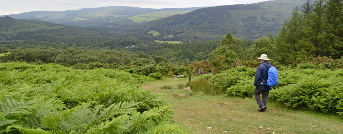 Wicklow Way - Daily Hiking Guide | Wilderness Ireland