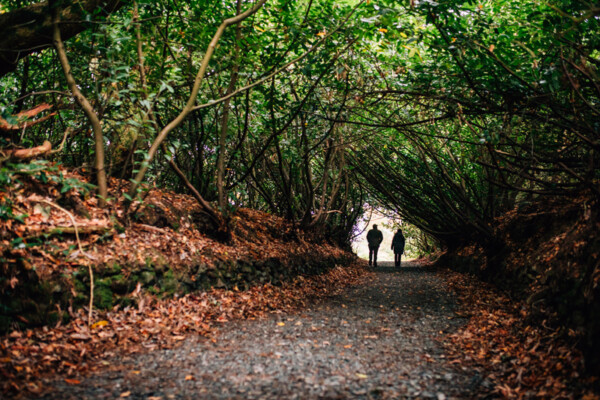 Autumn in Ireland | Seasonal Guide | Wilderness Ireland