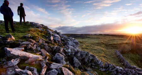 Spring in Ireland | All you need to know | Wilderness Ireland