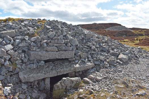 Neolithic Ireland: Newgrange, Knowth & Dowth - Wilderness Ireland