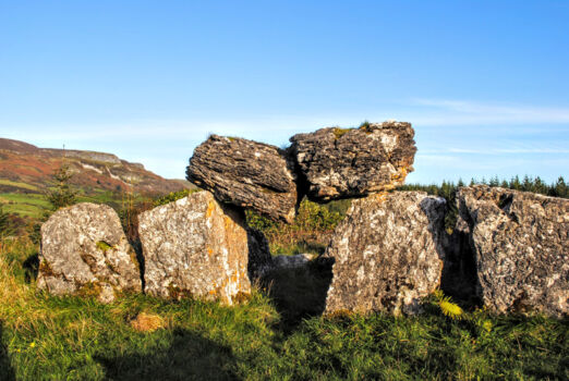 Neolithic Ireland: Newgrange, Knowth & Dowth - Wilderness Ireland