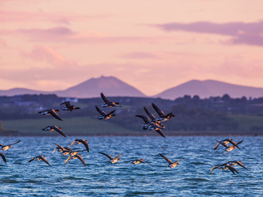 Autumn in Ireland | Seasonal Guide | Wilderness Ireland