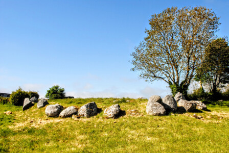 Neolithic Ireland: Newgrange, Knowth & Dowth - Wilderness Ireland