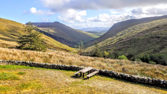 Summer in Ireland | All you need to know | Wilderness Ireland