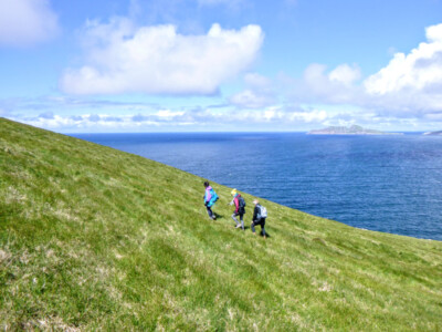 Summer in Ireland | All you need to know | Wilderness Ireland