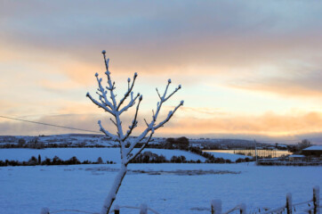 Winter in Ireland | All you need to know | Wilderness Ireland