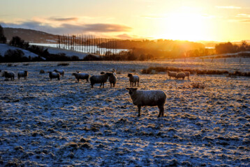 Winter in Ireland | All you need to know | Wilderness Ireland