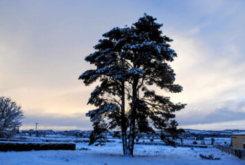 Winter in Ireland | All you need to know | Wilderness Ireland
