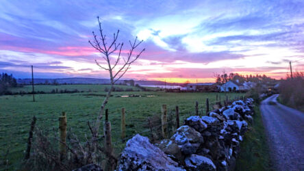 Winter in Ireland | All you need to know | Wilderness Ireland
