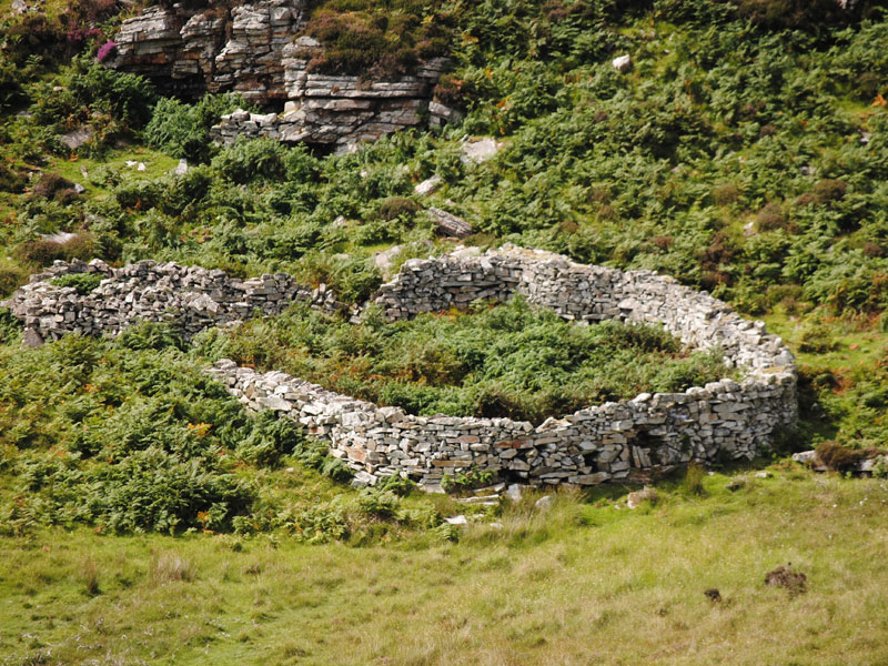 Fairies Ireland | Irish Myth, Legend & Folklore Series | Wilderness Ireland