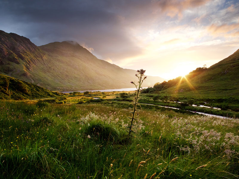 Hike Ireland's Long Distance Trails | Wilderness Ireland