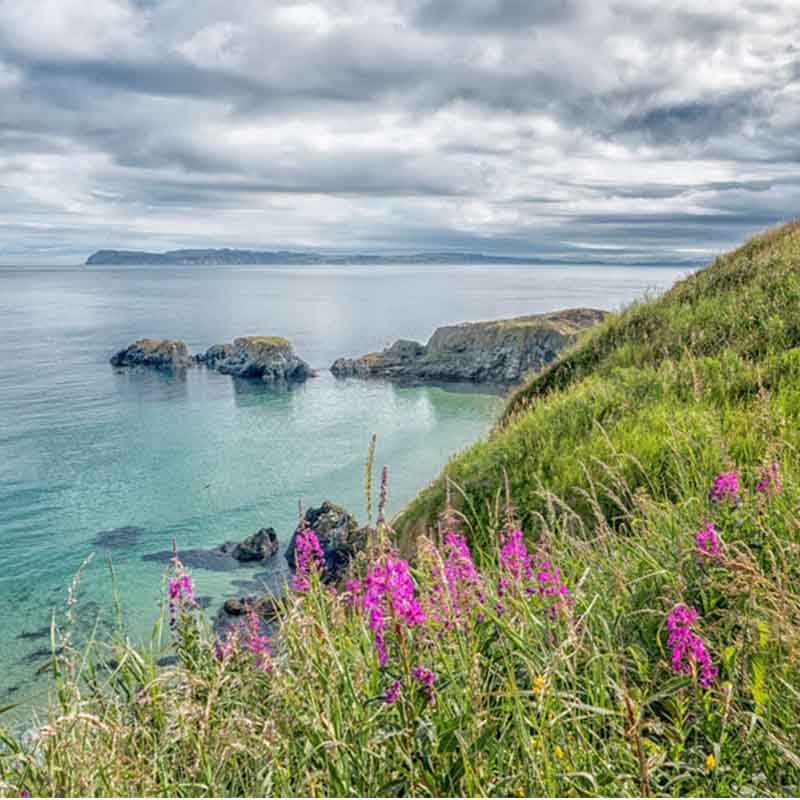 Why Visit Ireland in August? - Wilderness Ireland
