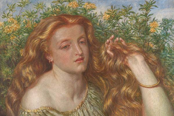 Irish Folklore, Myths & legends: Niamh Cinn Óir