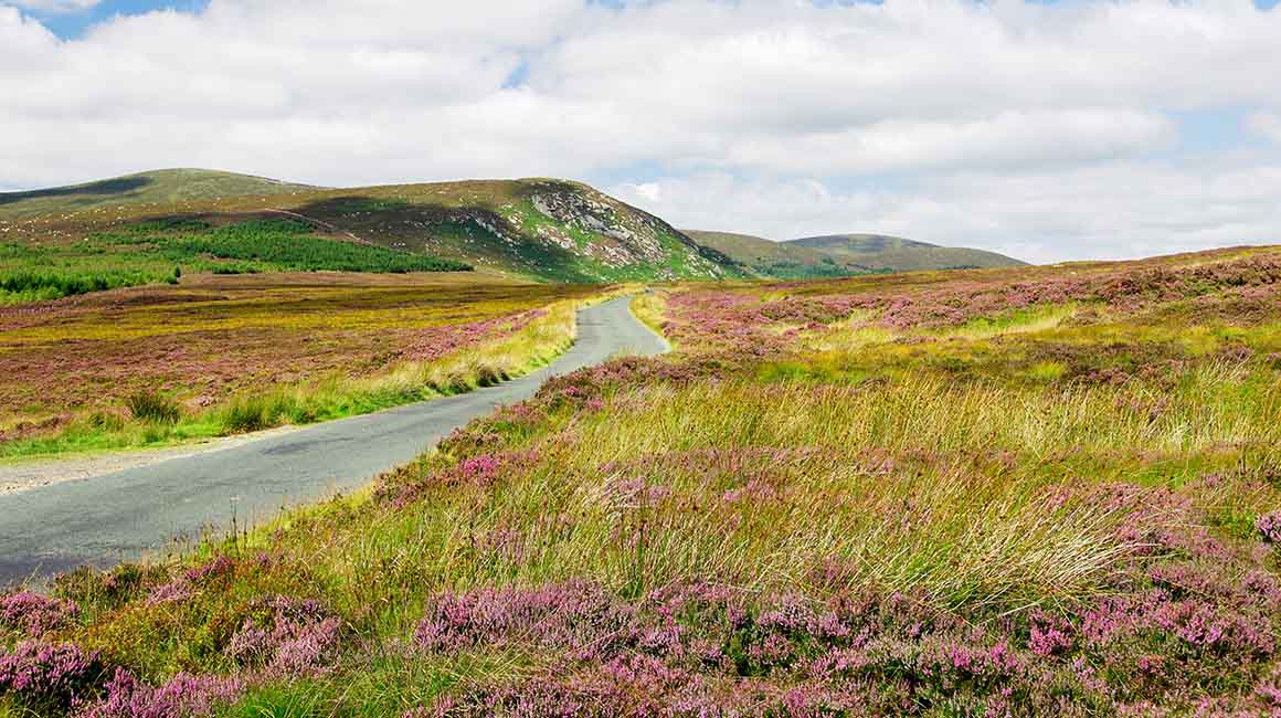 Best Bike Loops in Ireland | Wilderness Ireland