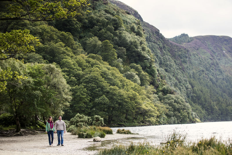 Native Trees of Ireland & Ogham Language - Wilderness Ireland