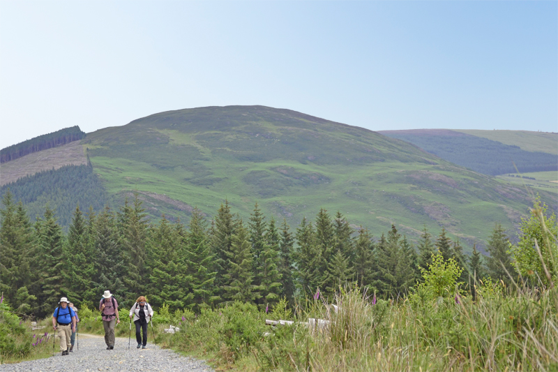 Wicklow Way - Daily Hiking Guide | Wilderness Ireland